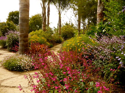 Latin American Plants